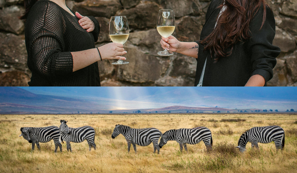 Zebra Striping: The Newest Alcohol Trend In Town!