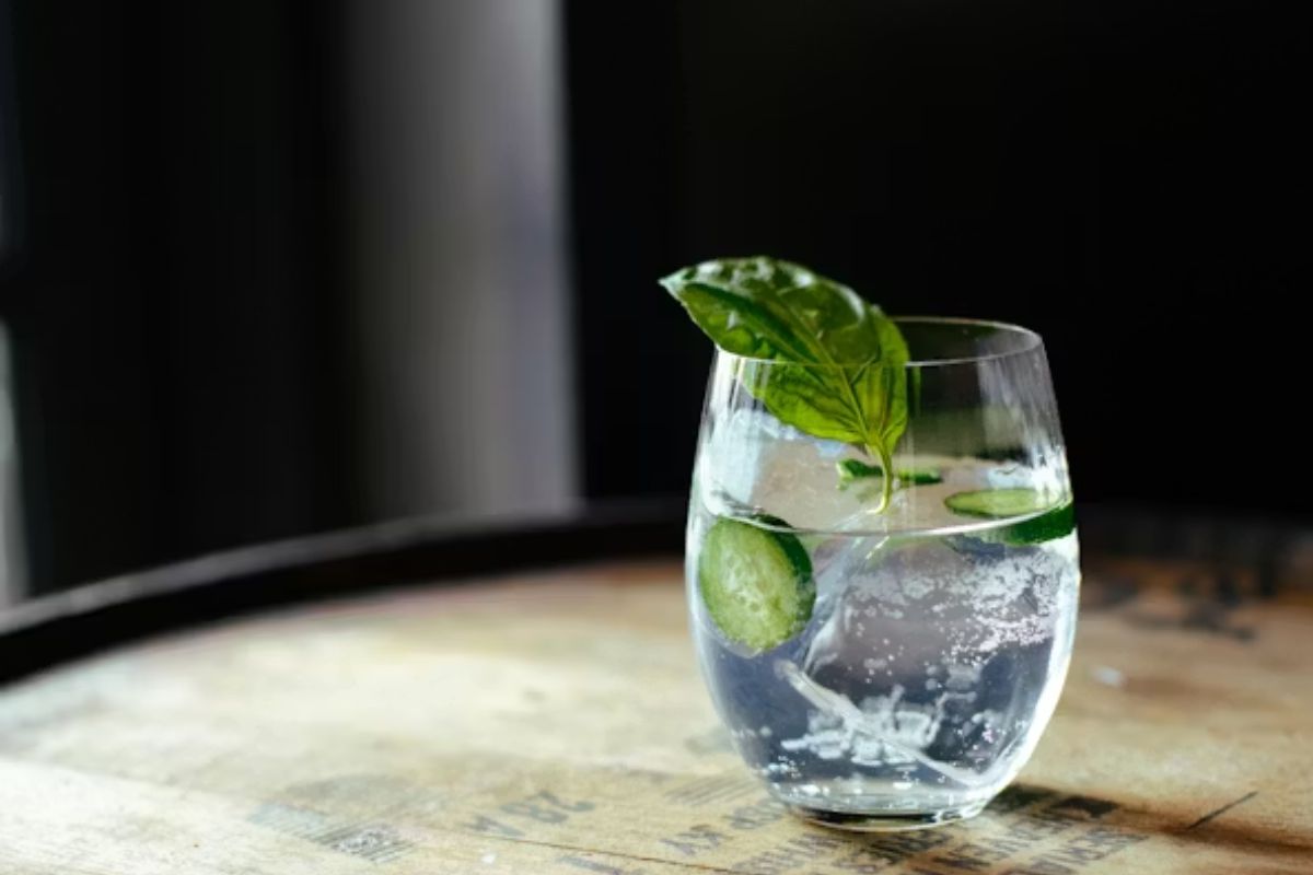 Top 9 Best Gins Under 1000 In Mumbai For 2026