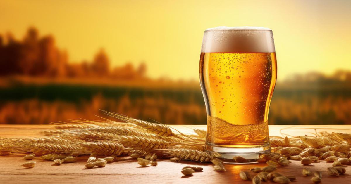 Top 7 Best Wheat Beer Brands to try In India | 2025